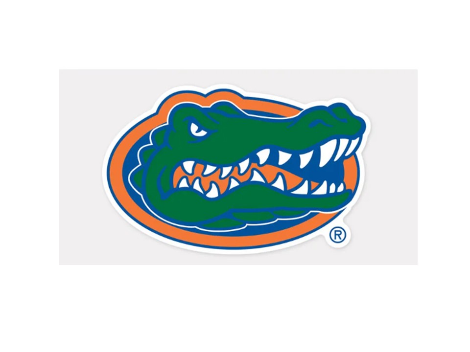 Florida Gator Head 4x7 Full Color Decal – Gator Haven